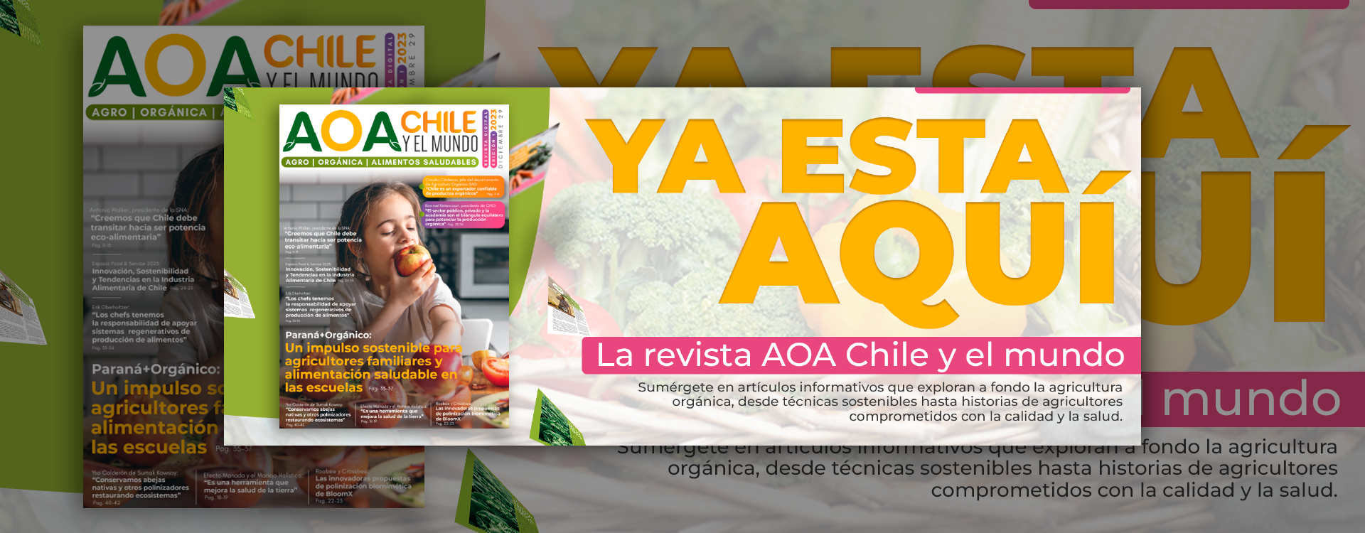 Revista AOA Chile - AOA Chile